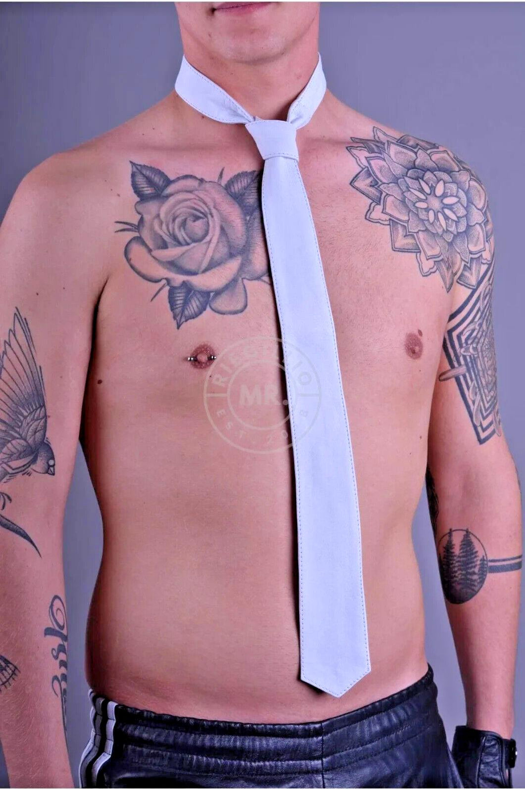 MR. RIEGILLIO — SexyMenUnderwear.com